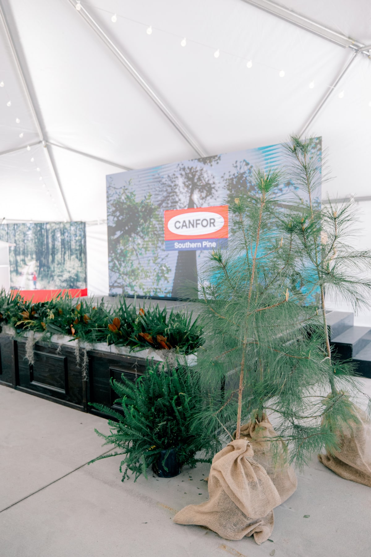Canfor Corporate Event {3.21.25} – The Stunning & Brilliant Events Blog