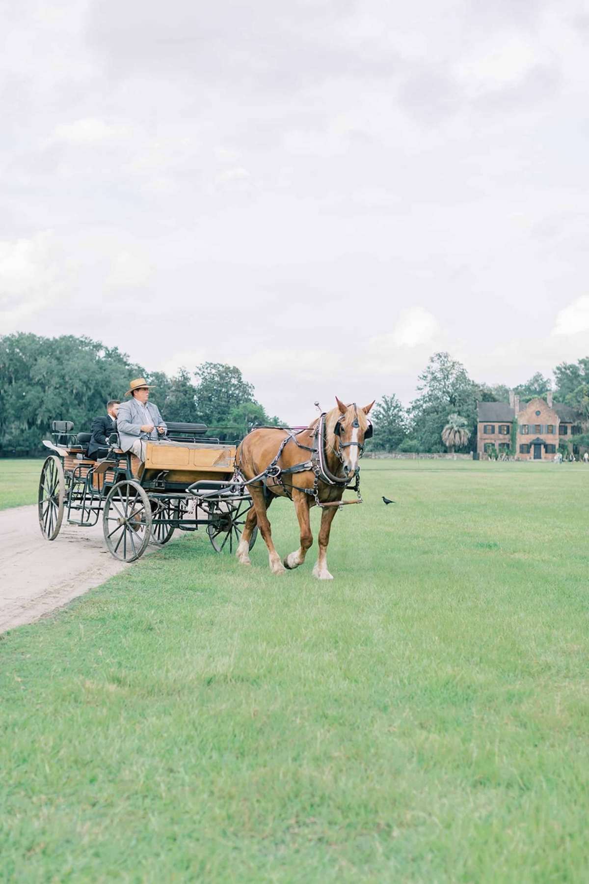 Forever & Always: Taylor Swift Albums as Wedding Styles – The Stunning ...